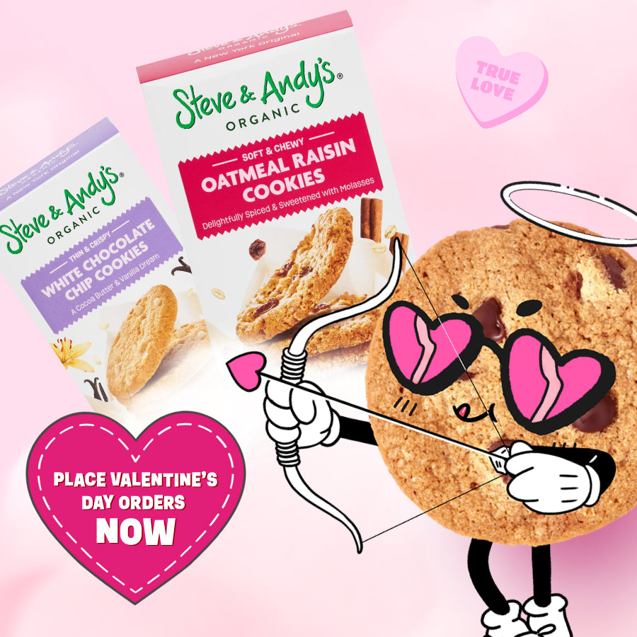 Steve & Andy's: Healthy, Gluten-Free, Vegan, Organic Cookies – Steve ...